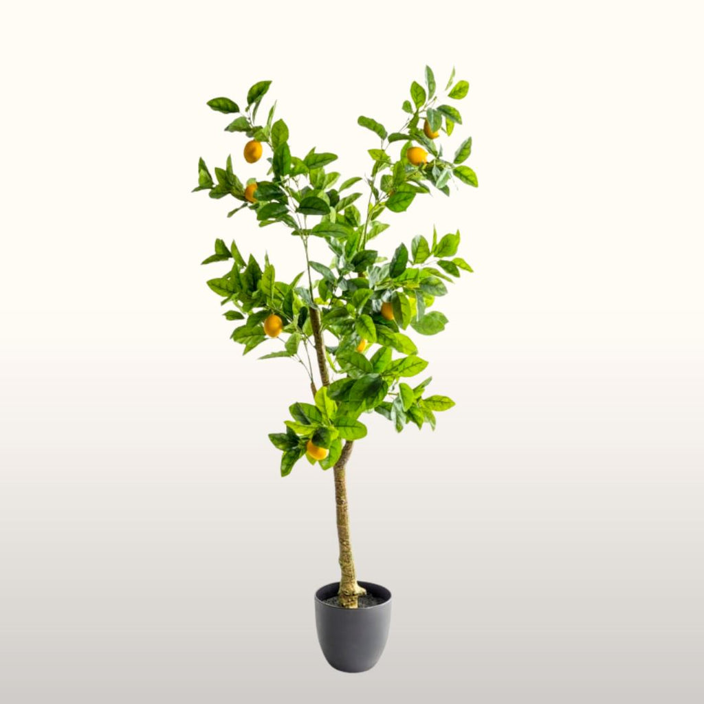 Faux Potted Lemon Tree - Shop Faux Plants – Oriana B